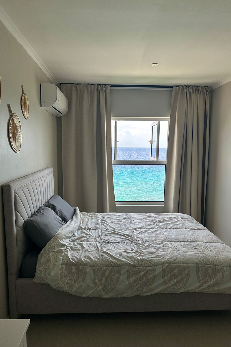 Dolfijn & Figero - Seaview Resort